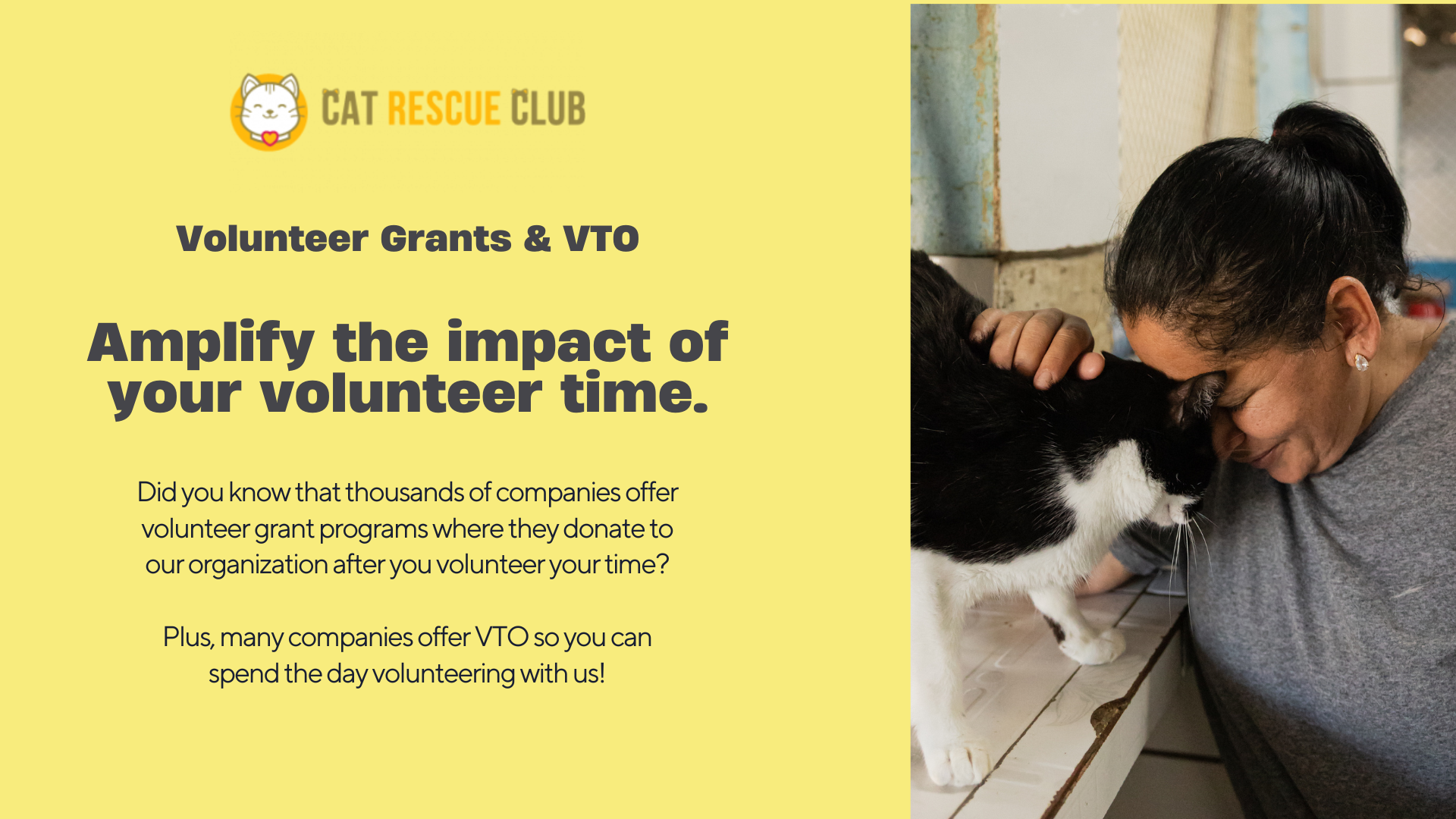 Corporate-Sponsored Volunteering – Cat Rescue Club