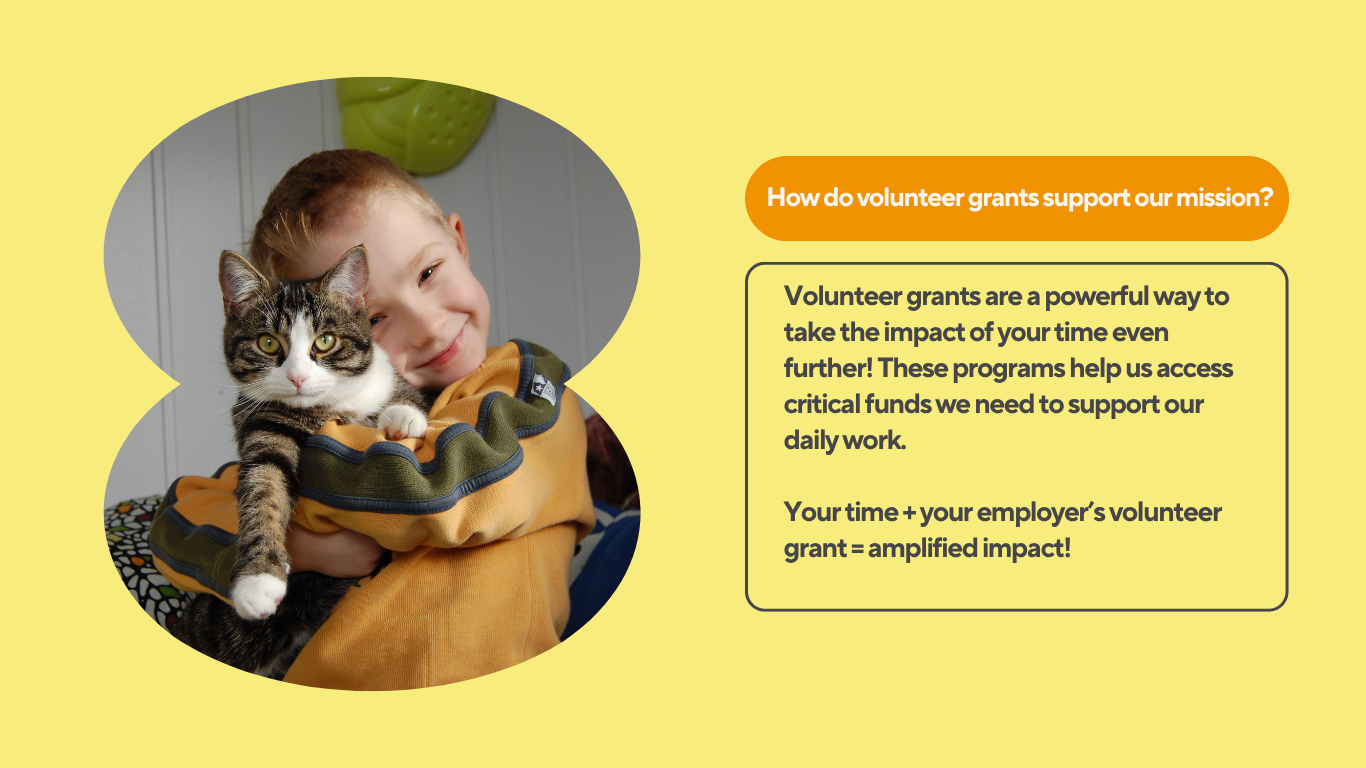 Corporate-Sponsored Volunteering – Cat Rescue Club